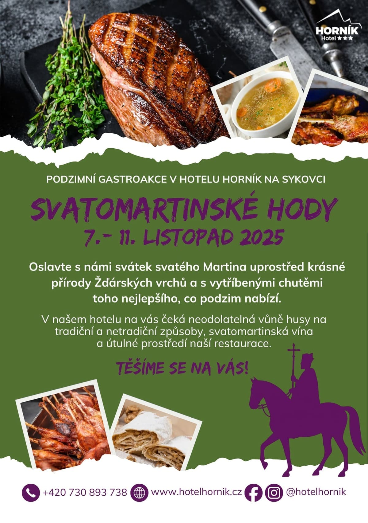 Svatomartinské hody 2025 - Žďárské Vrchy.cz